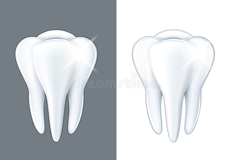 Shiny Tooth Isolated on White Vector Stock Vector - Illustration of ...
