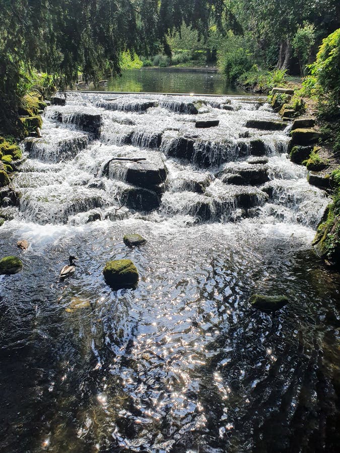 Shiny Waterfall in the Park with Ducks Stock Photo - Image of autumn ...