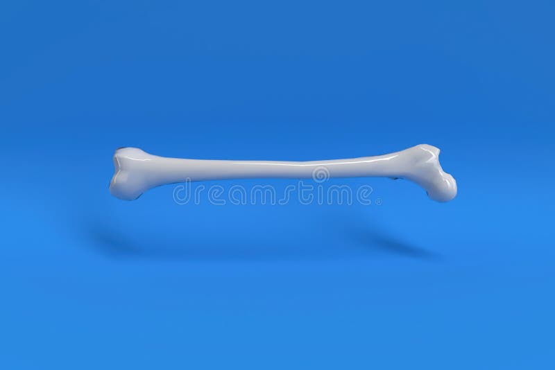 Shiny White Bone in Blue Background 3D Render Stock Illustration ...