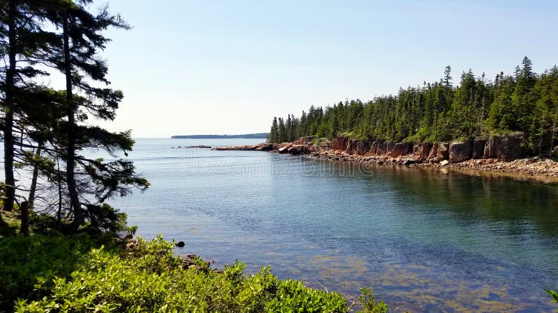 Ship Harbor in Acadia National Park - Maine Stock Image - Image of ...