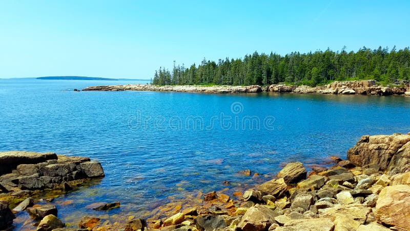 Ship Harbor in Acadia National Park - Maine Stock Image - Image of ...