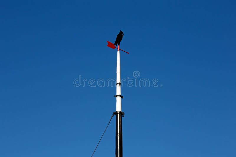 Ship mast stock image. Image of traveling, bird, blue - 87593585