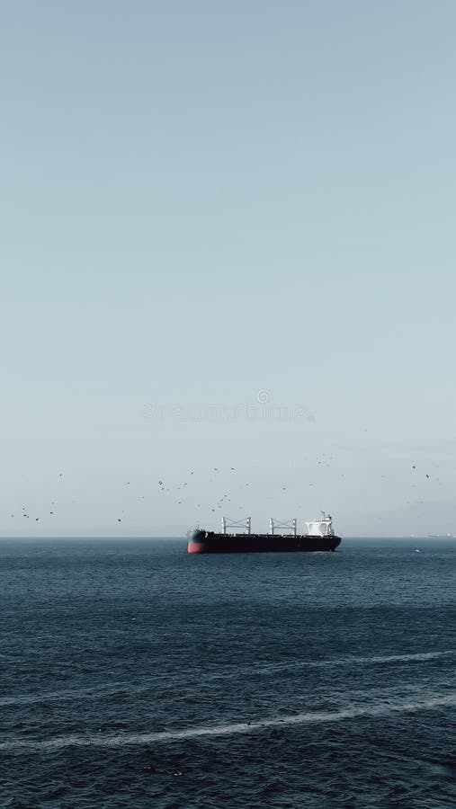 Ship potrait in the sea stock photo. Image of bird, ship - 283475836