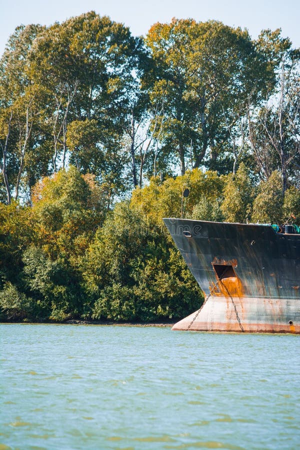 Ship S Bow Anchored by a Green Forest on a Sunny Day, with Tranquil ...