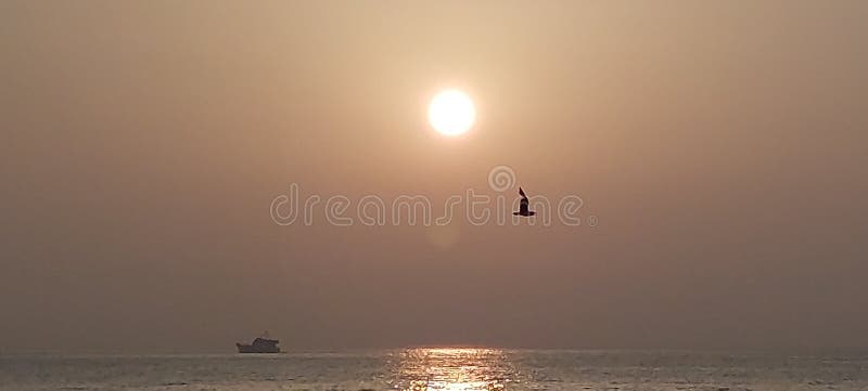 Ship and seagull stock photo. Image of horizon, dawn - 251249676