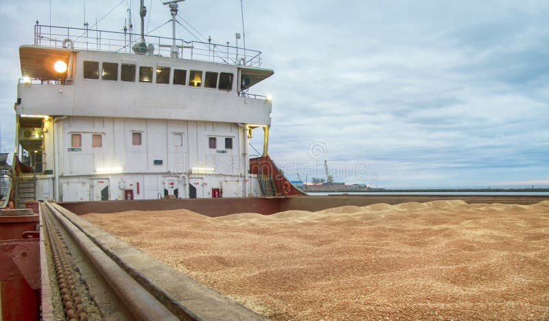 Ship with Wheat in the Port of Loading Editorial Photo - Image of food ...
