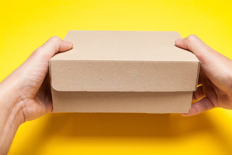 Shipping Delivery Box in Hands, Catron Package Stock Photo - Image of ...