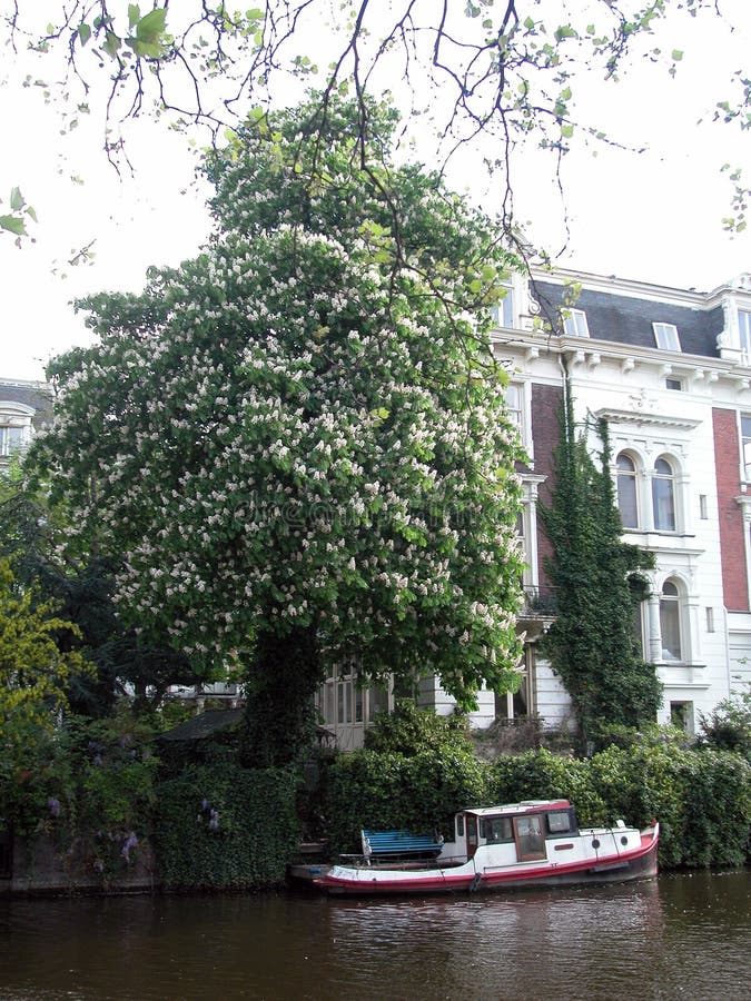 Shipping on a Gracht or Canal in Amsterdam Editorial Photo - Image of ...