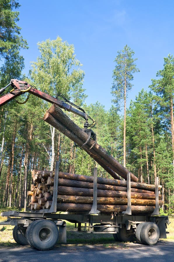 Shipping timber stock image. Image of environment, lumber - 21479181