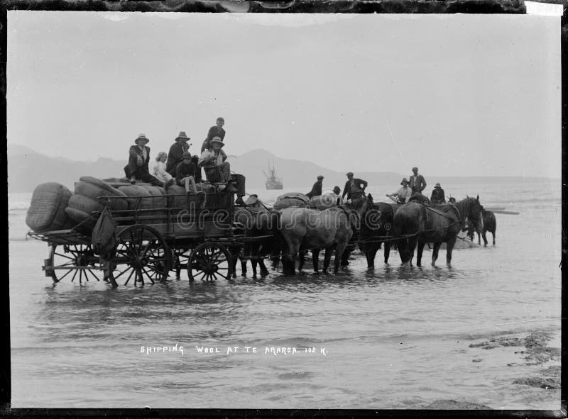 Shipping Wool at Te Araroa, East Coast Stock Image - Image of carriage ...
