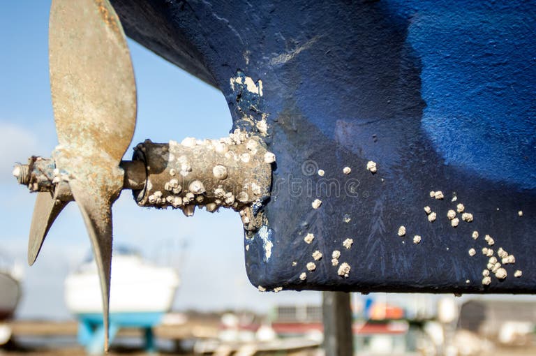 296 Barnacles Ship Stock Photos - Free & Royalty-Free Stock Photos from ...