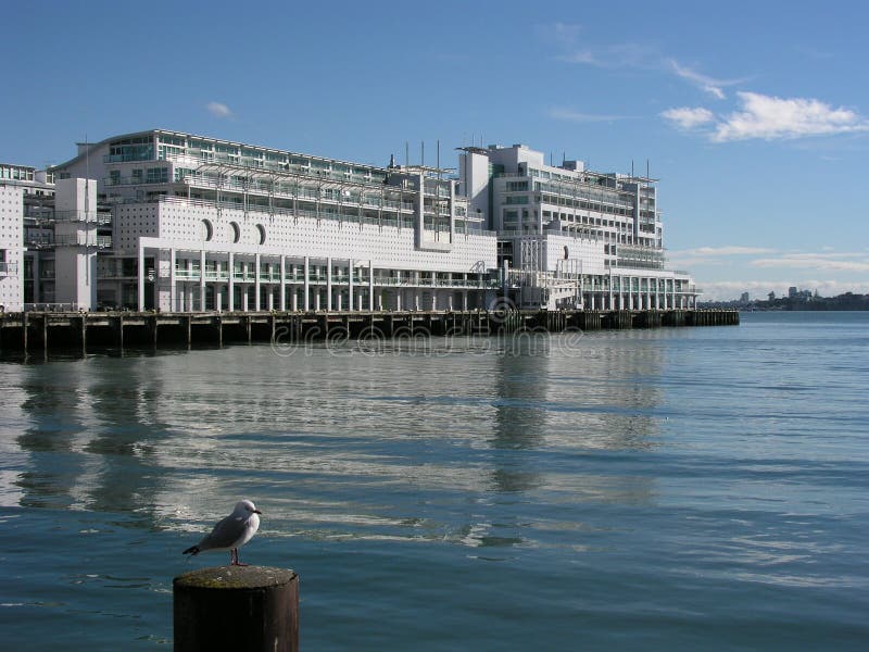 Shipshape building stock image. Image of white, seagull - 158087
