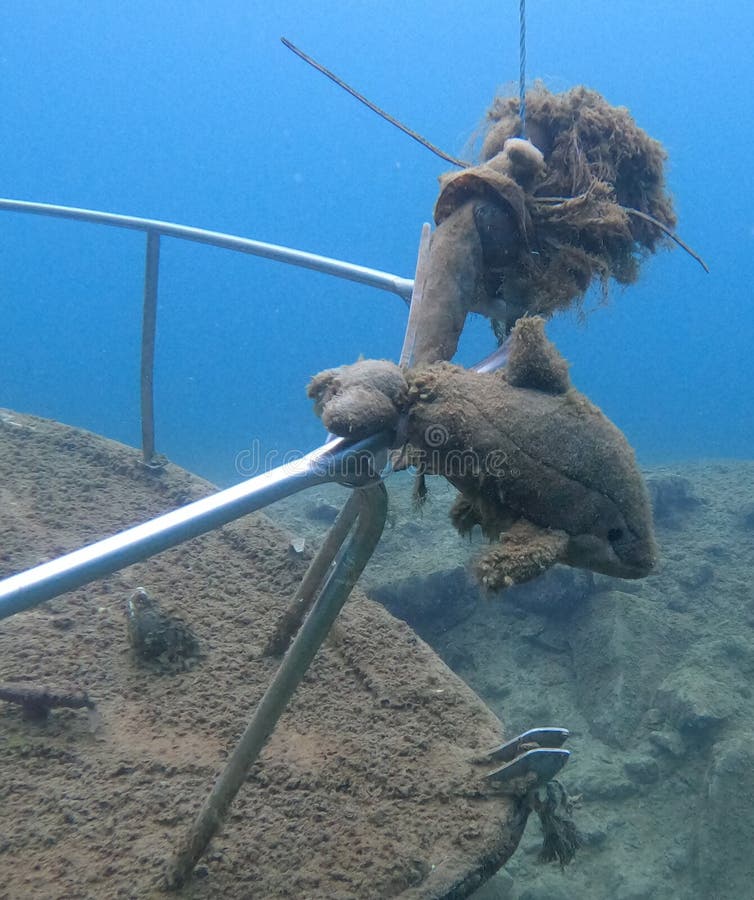 Shipwreck Bow Perched in a Small Boat Under Water Stock Photo - Image ...