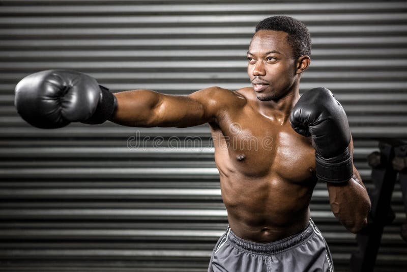 Shirtless boxer training stock image. Image of crossfit - 66930433