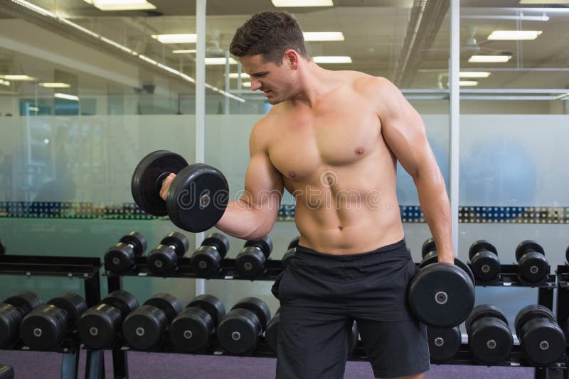 Shirtless Determined Bodybuilder Lifting Heavy Black Dumbbells Stock ...