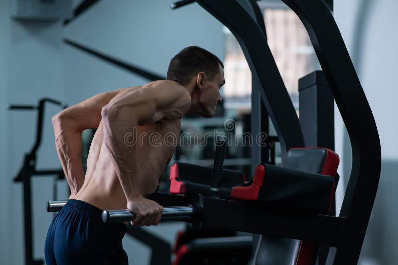 Shirtless Man Doing Triceps Dips from Parallel Bars in Gym. Stock Photo ...
