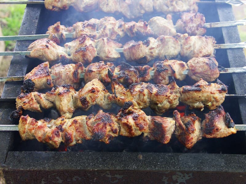 Shish kebab on the grill stock photo. Image of outside - 2534310