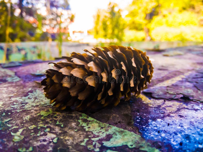 Shishka stock image. Image of smartphone, shishka, zavoda - 96507485