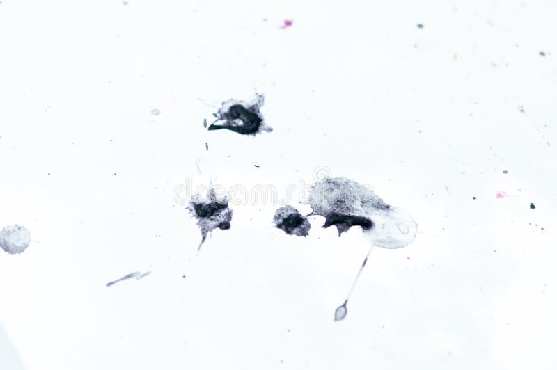 Bird Shit, Drop Of Bird Stain On Red Car Surface, Dirty Waste Of Birds ...