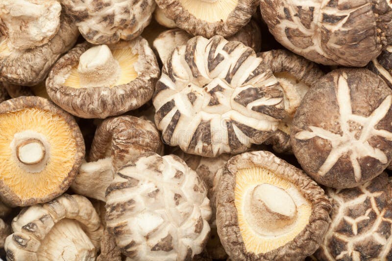 Shitake mushroom stock photo. Image of protein, healthy - 71367876