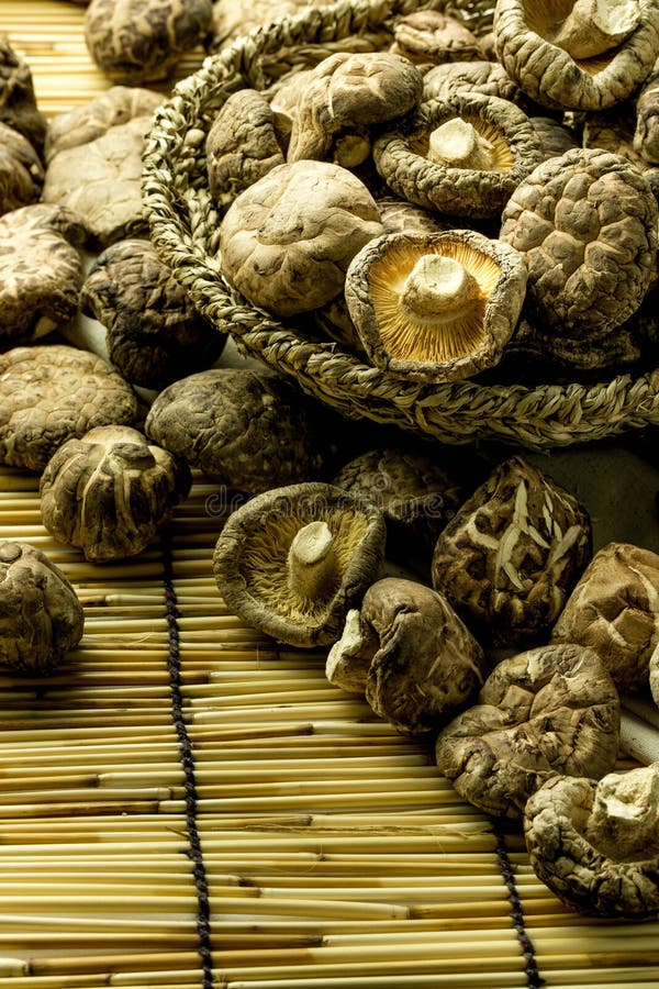 Shitake mushroom stock photo. Image of nature, asian - 41063626