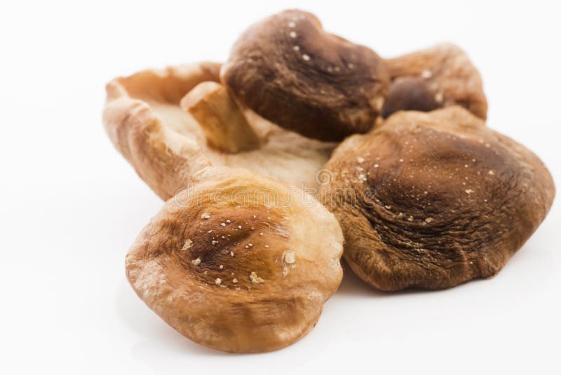Shitake Mushroom on White stock image. Image of vegetable - 116238871