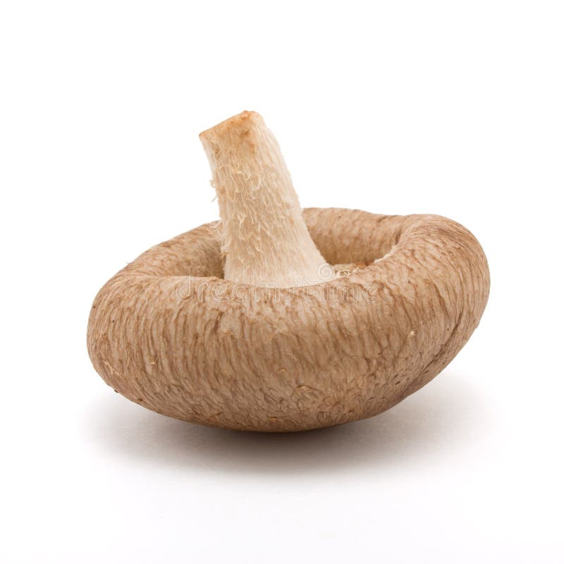 Shitake Mushrooms stock image. Image of remedy, medicine - 13904057