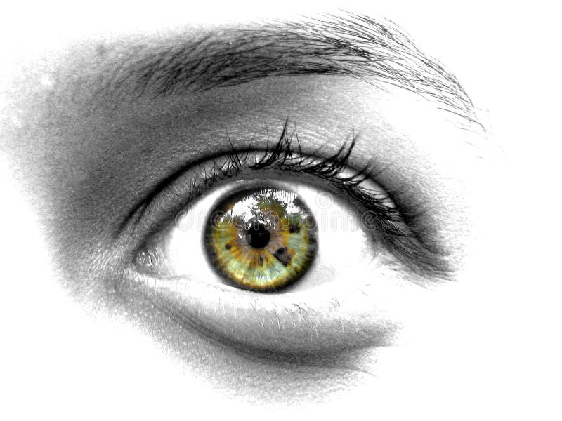 Shocked stock photo. Image of expressions, eyes, looking - 2130034