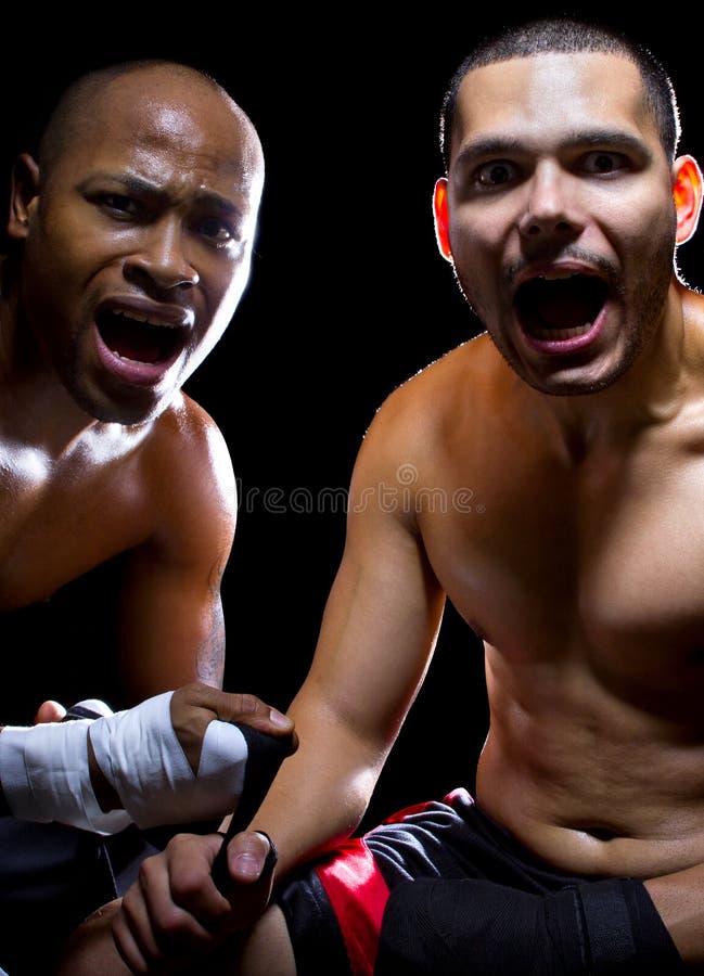 Shocked Boxer and Trainer stock photo. Image of boxer - 53172306