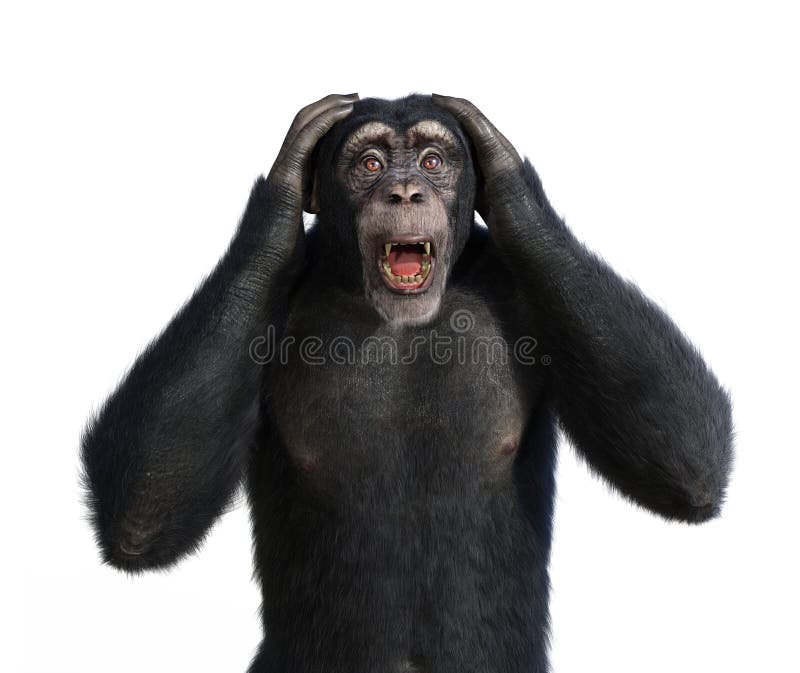 Shocked Chimp stock illustration. Illustration of terror - 148003150