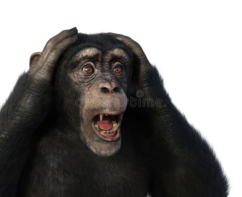 Shocked Monkey Expression Stock Illustrations – 31 Shocked Monkey ...
