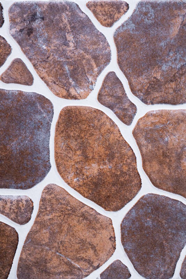 Shockingbite Background Wood Nature and Detail Stock Image - Image of ...