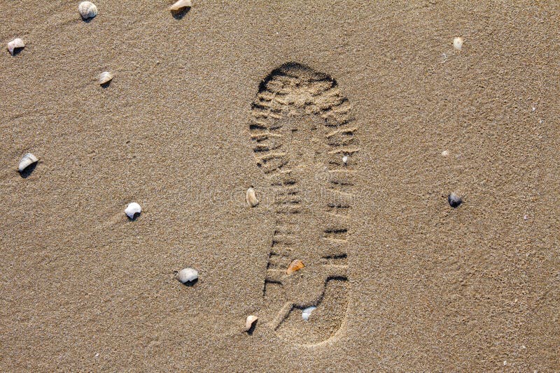 602 Shell Imprint Stock Photos - Free & Royalty-Free Stock Photos from ...