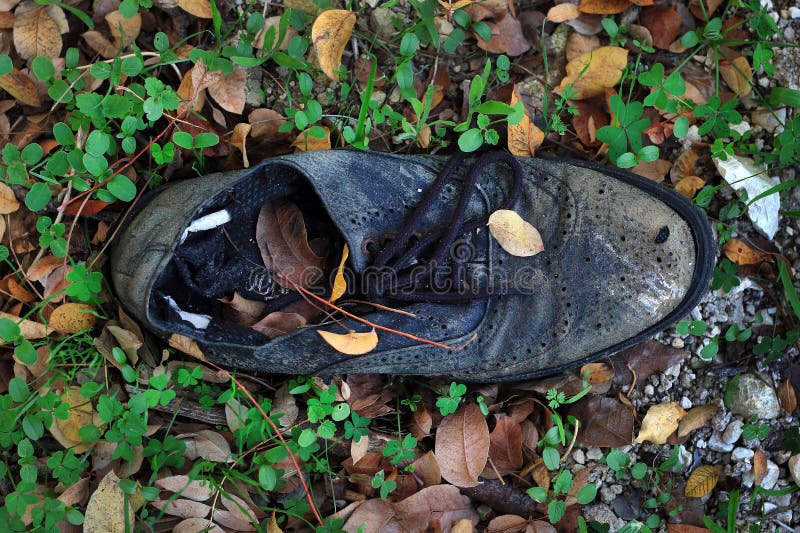 Shoe Lost in Forest stock image. Image of rubbish, used - 286066703