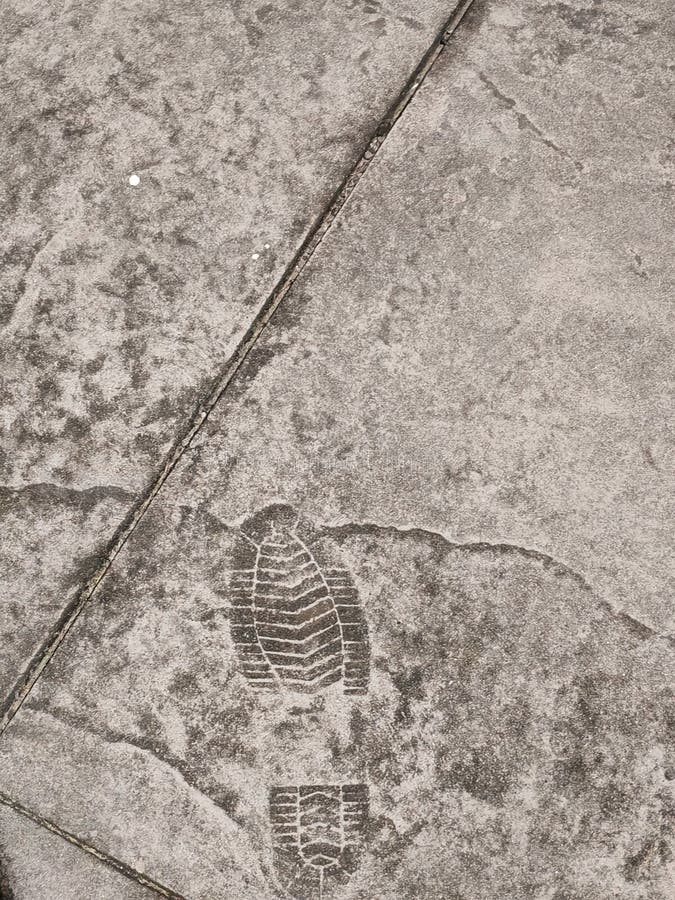 Shoe Marking Left Behind on Concrete Floor Stock Image - Image of ...