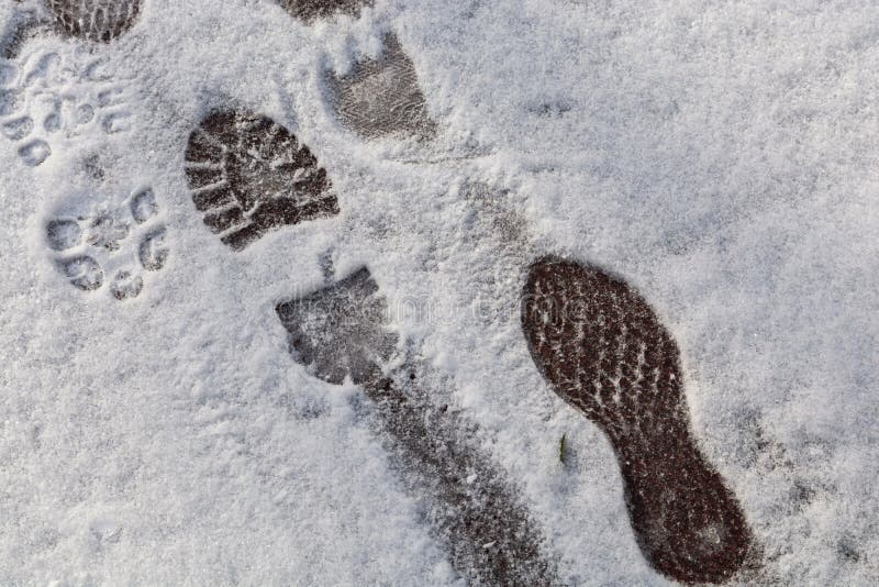 Shoe Marks with Textured Soles in the Snow Stock Image - Image of ...
