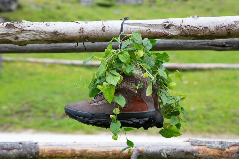 Shoe stock image. Image of bright, background, growth - 47454119