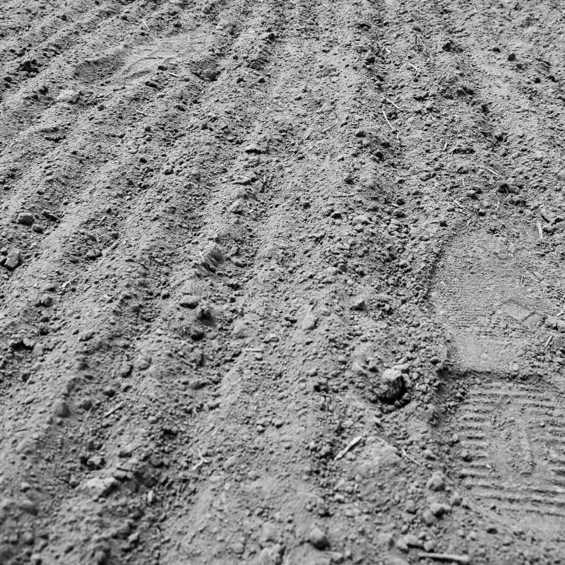 The Shoe print stock photo. Image of step, foot, ground - 102774422