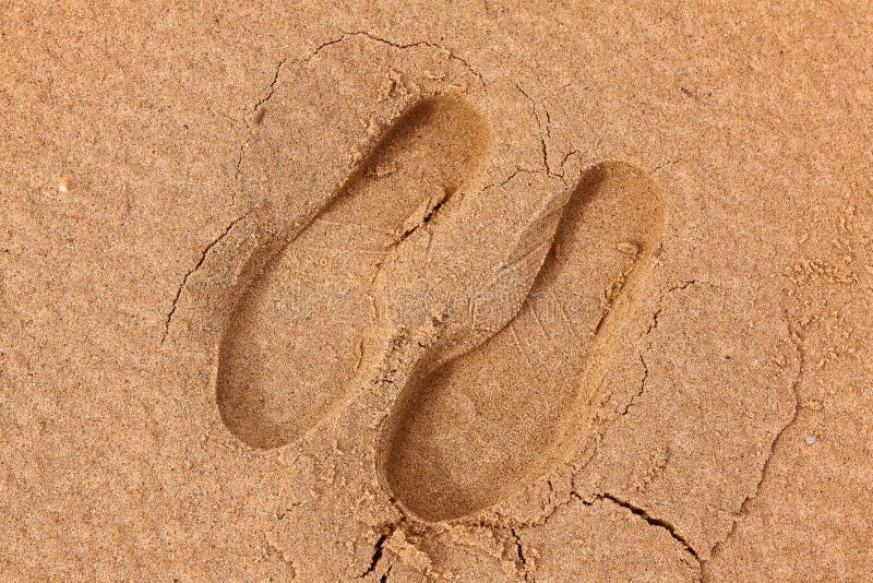 Shoe print stock photo. Image of coast, sunny, texture - 88446578