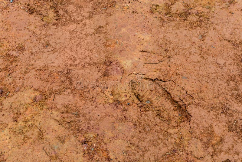 Shoe print in soil stock photo. Image of grunge, loam - 57445068