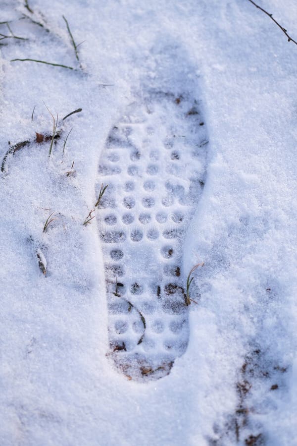 Shoe track in the snow stock image. Image of track, winter - 363396575