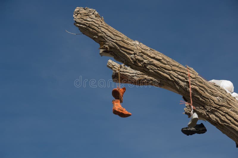 Shoe tree stock image. Image of bright, brown, shoes, lace - 4546609