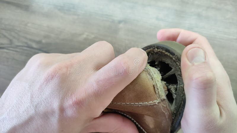 A Shoemaker Repairs a Shoe, Showing How the Sole of a Shoe Came Off ...