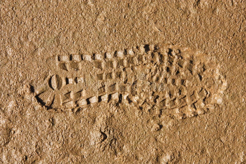 Shoe Print In Mud