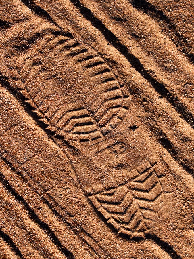 Crime Scene Shoe Covers