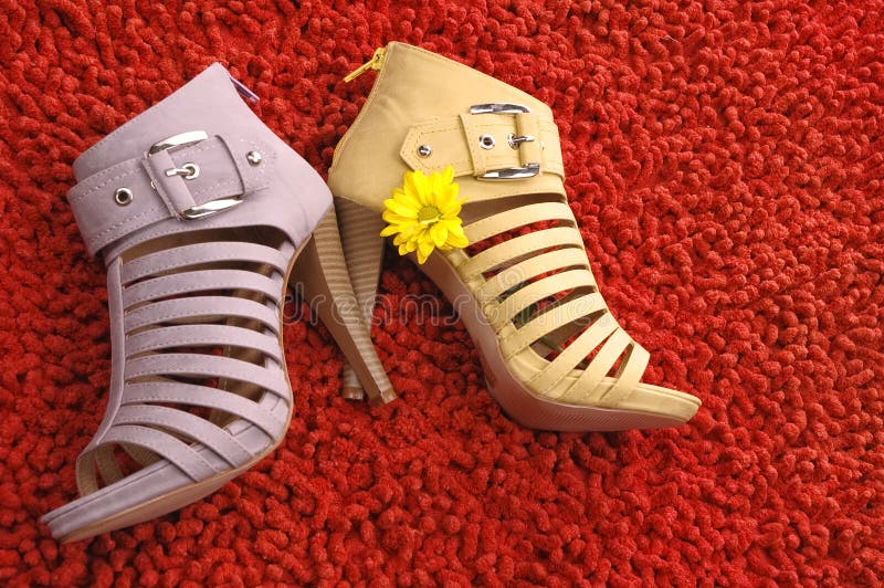 Shoes stock image. Image of accessory, luxury, lifestyle - 19910115