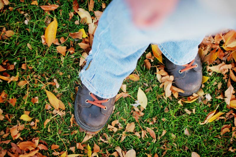 Shoes In Fall Picture. Image: 295389
