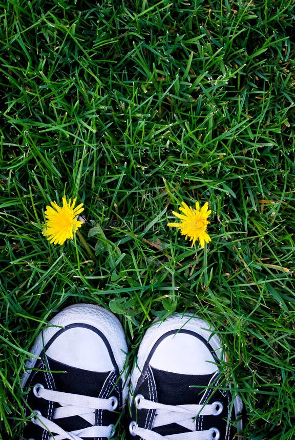 Shoes and flower stock image. Image of design, sole, summer - 13312809