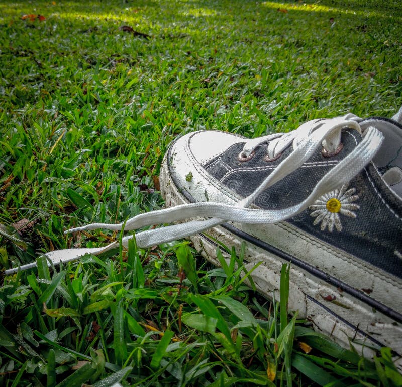 Shoes in a forest stock image. Image of feet, boots, female - 49694079