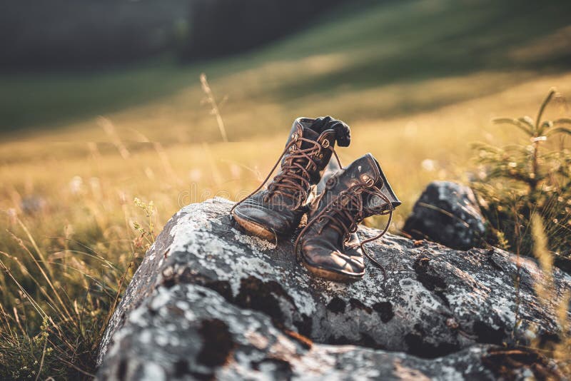 Shoes in forest on a rock. stock photo. Image of fall - 225853484